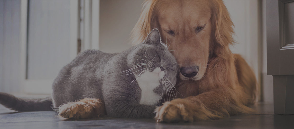 Brands | MPM Products