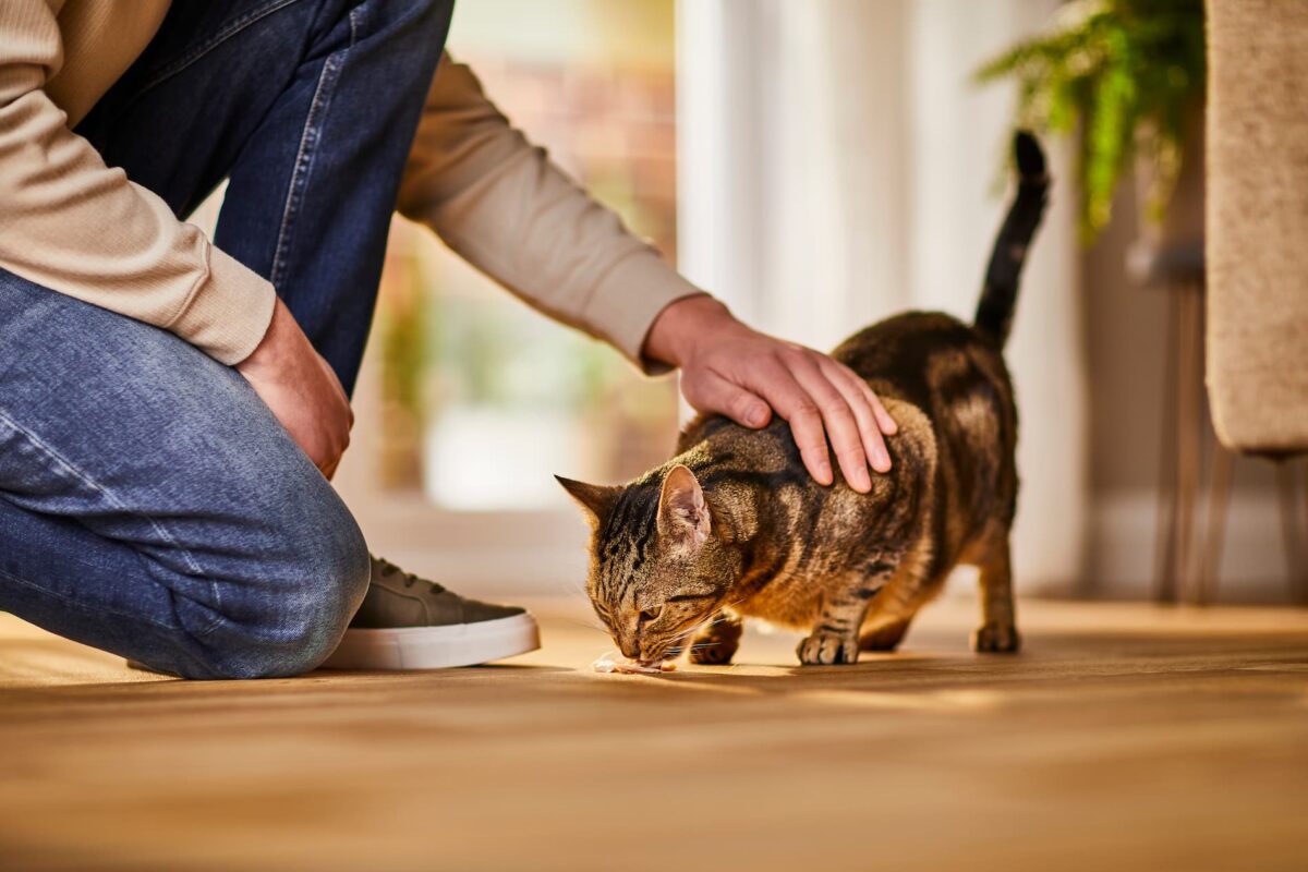 Our Story | MPM Products